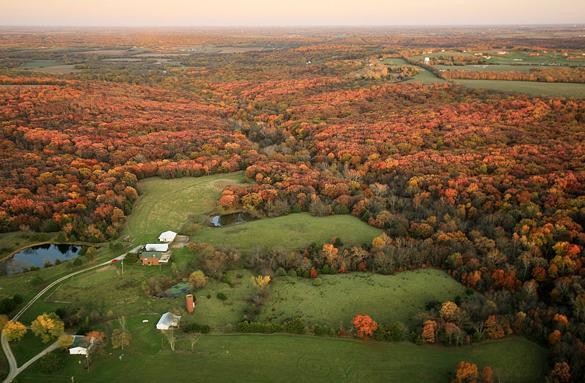ECO2 pegs hardwood forest for conservation | News, Sports, Jobs ...